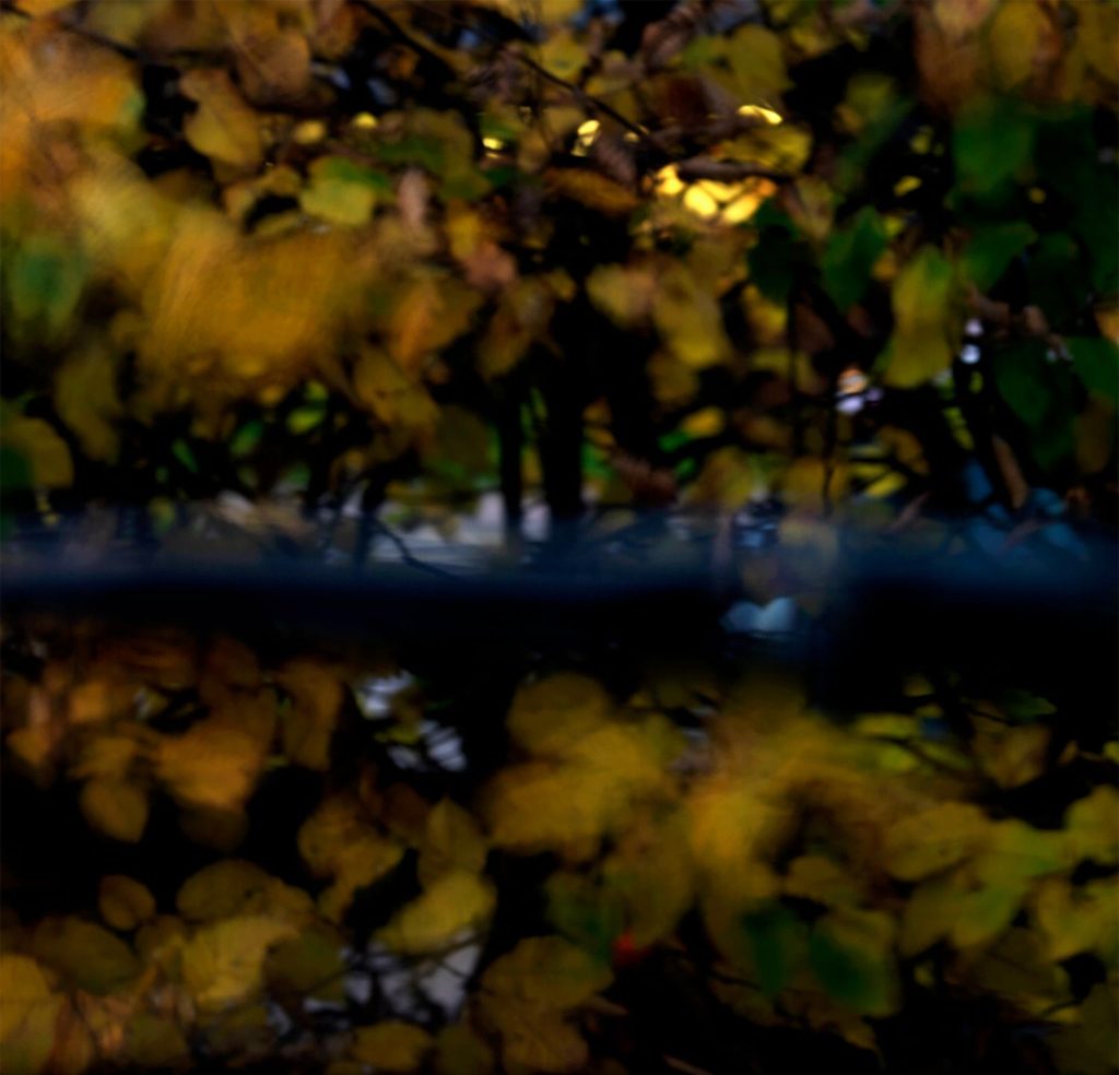 Fleur Olby – Fleur Olby