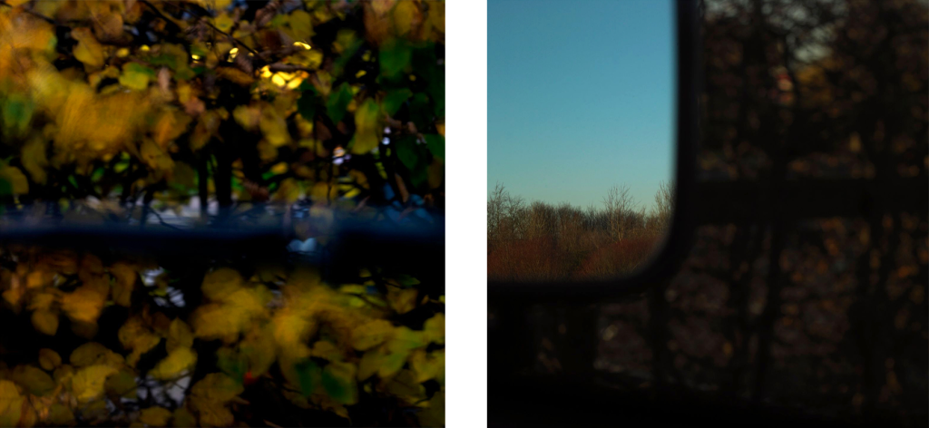 Fleur Olby – Fleur Olby