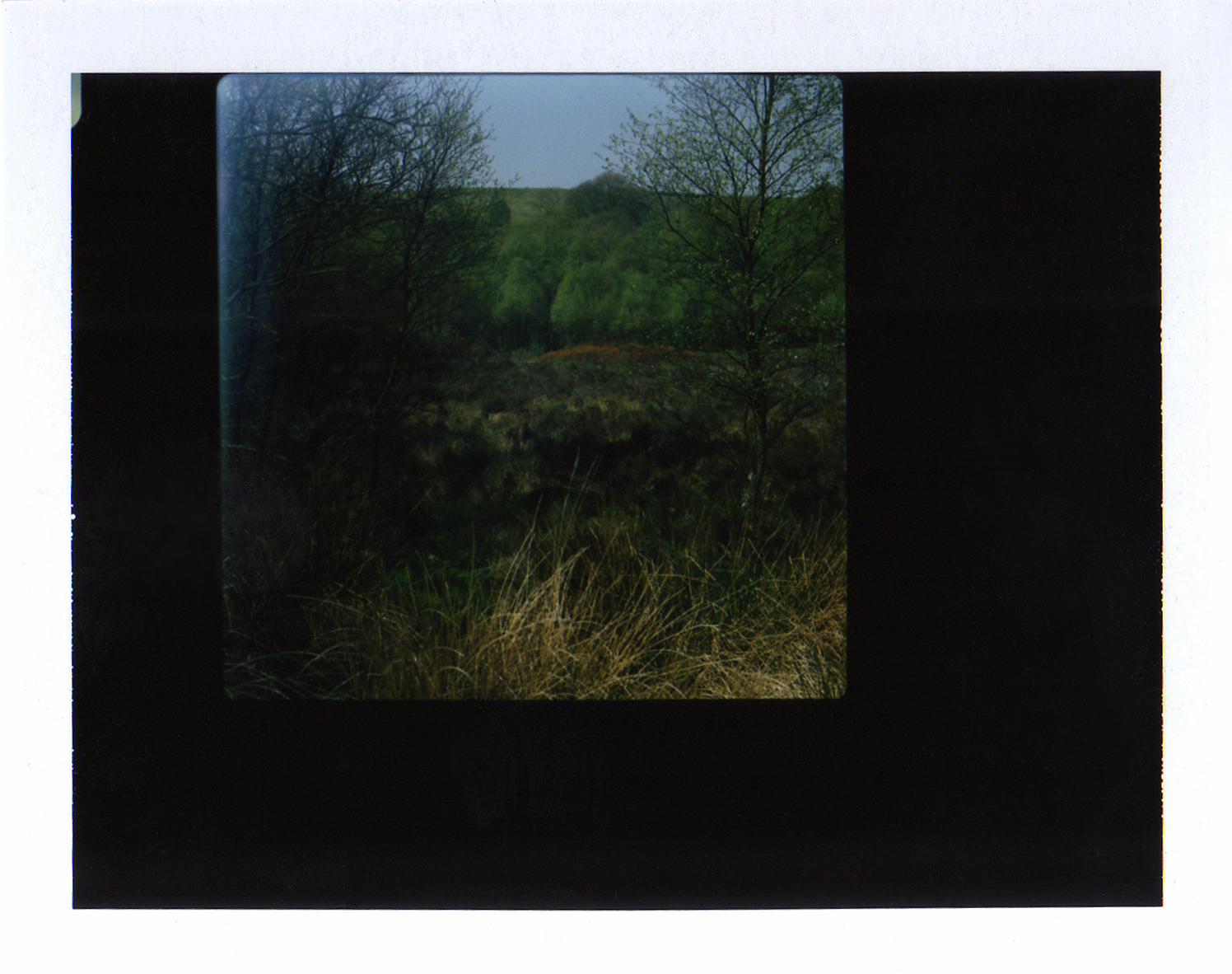 Fleur Olby – Fleur Olby