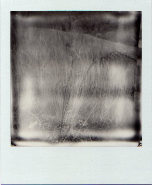 Fleur Olby – Fleur Olby