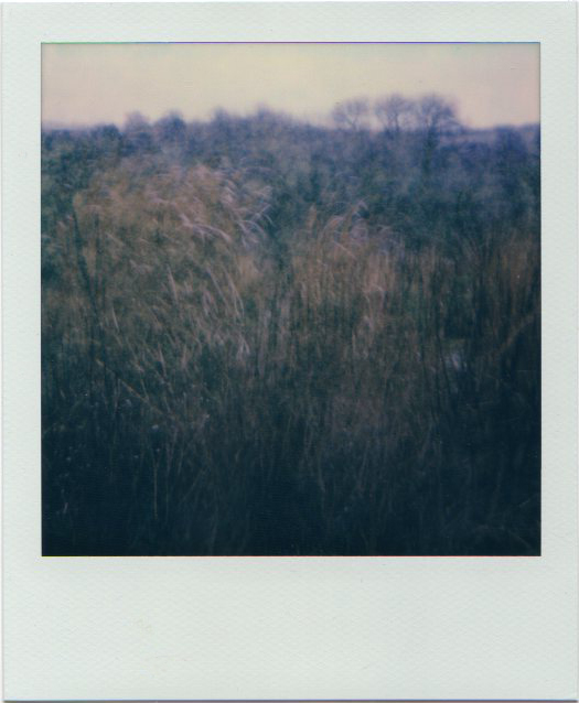 Fleur Olby – Fleur Olby