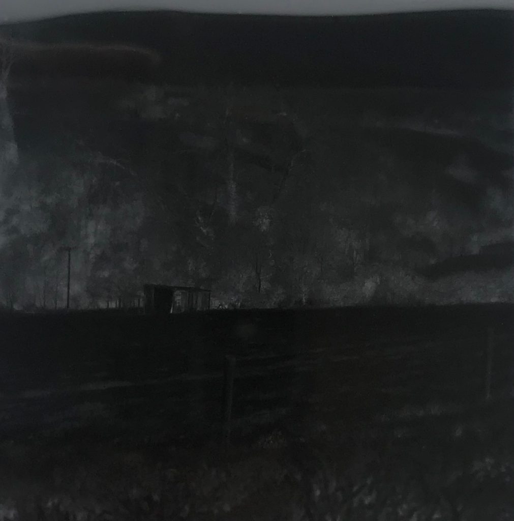 Fleur Olby – Fleur Olby