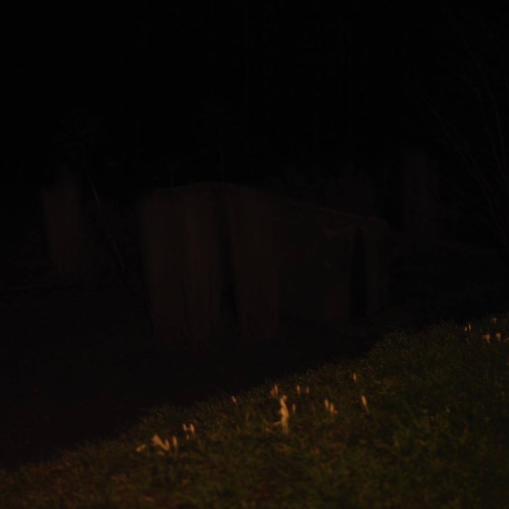 Fleur Olby – Fleur Olby