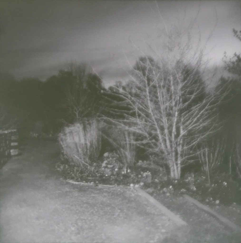 Fleur Olby – Fleur Olby