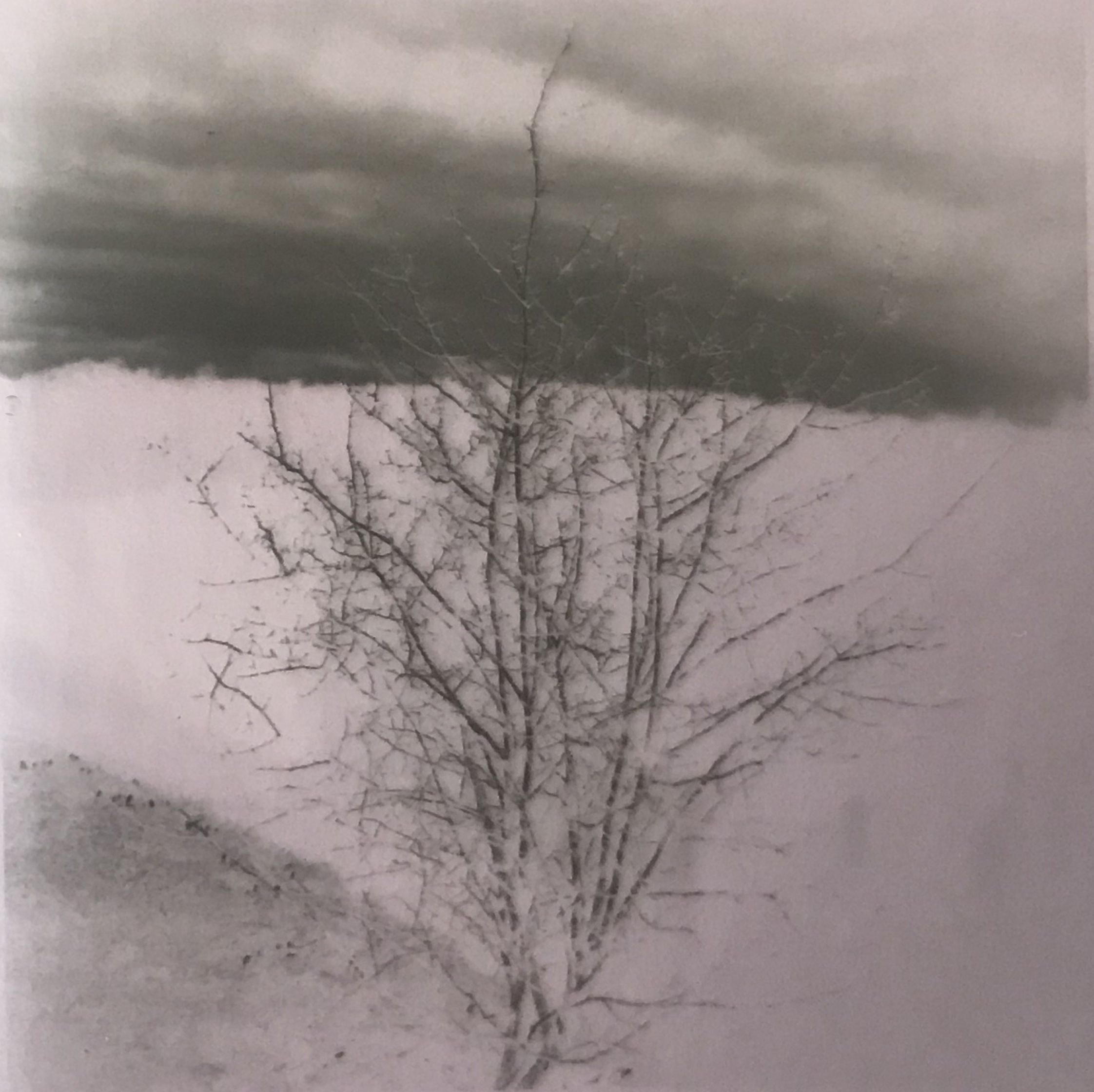 Fleur Olby – Fleur Olby